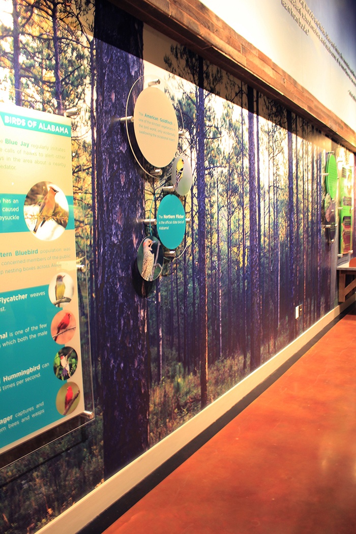 Alabama Wildlife Federation | Method-1 Interiors