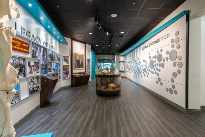 Cook Museum of Natural Science | Method-1 Interiors